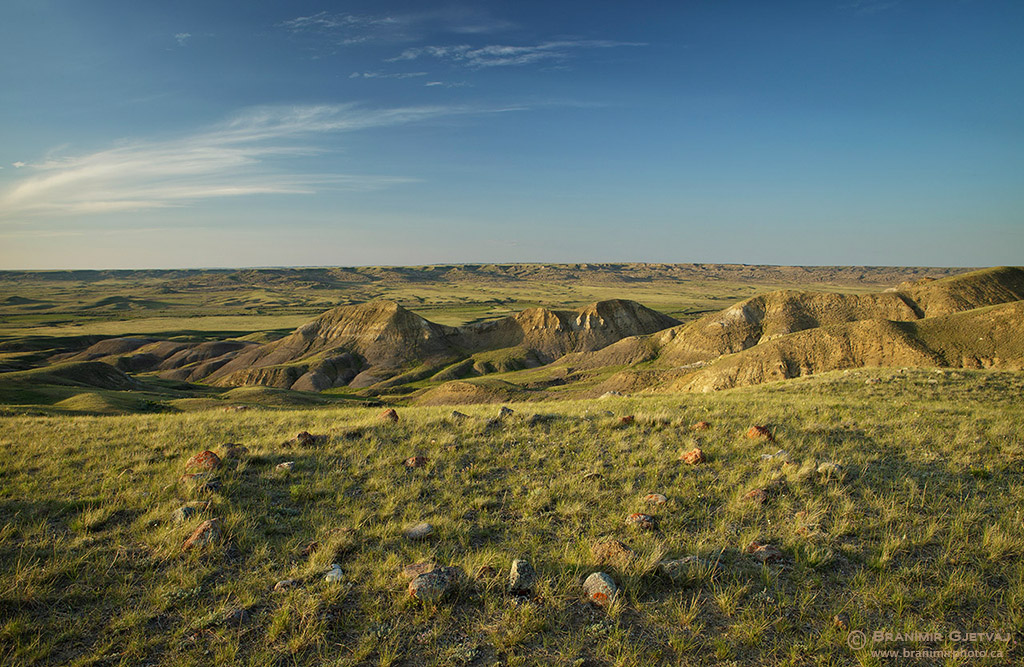Islands of grass - conserving Canada’s native grasslands | Branimir ...
