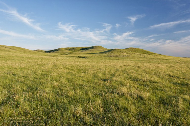 Prairie at Mankota Community Pasture. McCord, Saskatchewan | Branimir ...